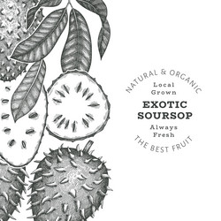 Soursop set Royalty Free Vector Image - VectorStock