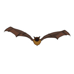 Cartoon flying fox Royalty Free Vector Image - VectorStock