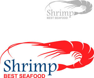 Fresh shrimp banner spread a4 seafood and asian Vector Image