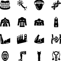 Collarbone Vector Images (70)