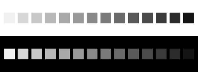 Skin colors for summer type Royalty Free Vector Image