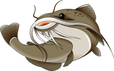 Paddlefish cartoon Royalty Free Vector Image - VectorStock