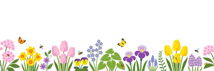 Wildflower Spring Garden Border Royalty Free Vector Image