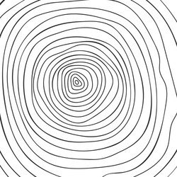 Trunk cross section texture sketch of topographic Vector Image