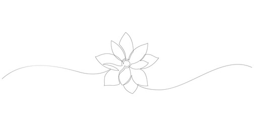 One continuous line drawing of plumeria flower Vector Image