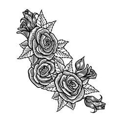 Rosella Plant Vector Images (35)