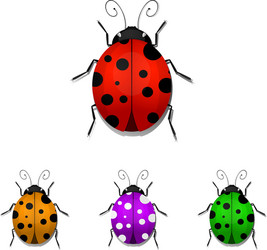 Cartoon funny ladybug Royalty Free Vector Image