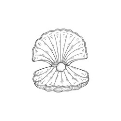 Pearl Shell Drawing