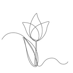 Continuous thin line flower minimalist botanical Vector Image