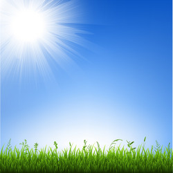 Grass and flowers border sky Royalty Free Vector Image