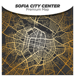 Creative flat map sofia city center on light Vector Image