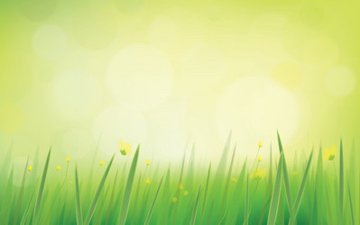 Spring background Royalty Free Vector Image - VectorStock