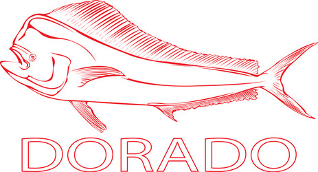 Cartoon mahi fish mascot Royalty Free Vector Image