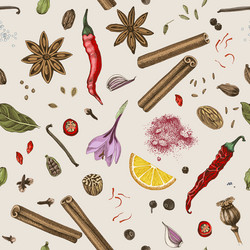 Seamless pattern with hand drawn spicy chili Vector Image