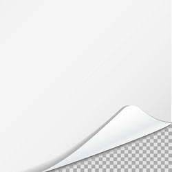 Sheet of paper Royalty Free Vector Image - VectorStock