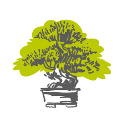 Japanese old bonsai tree in pot hand drawn logo Vector Image