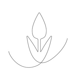 Continuous thin line flower minimalist botanical Vector Image
