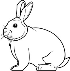 Rabbit Sitting Vector Images (over 7,000)