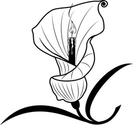 Calla Vector Images (over 2,600)