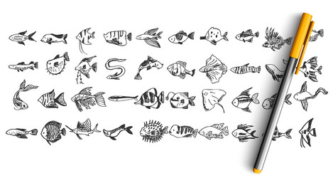 Fish Doodle Vector Images (over 33,000)