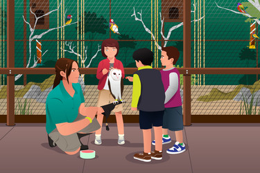 Boy Feeding Birds Vector Images (over 160)