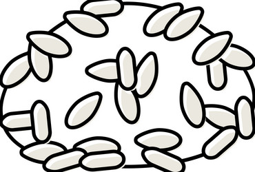 Rice Black and White Vector Images (over 4,500)