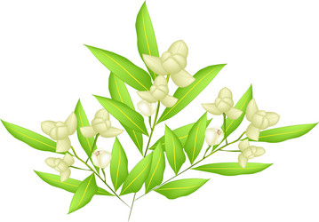 Rumdul Vector Images (90)