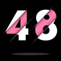 48 4 8 number logo design with a creative cut Vector Image