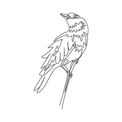 Sparrow drawn in line art styl Royalty Free Vector Image