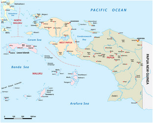 Papua Indonesia Vector Images (over 510)