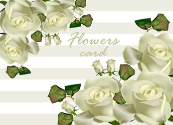 Yellow rose flower border Royalty Free Vector Image