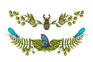 Nature graphics dividers with bugs Royalty Free Vector Image