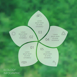 Circle eco infographic Royalty Free Vector Image