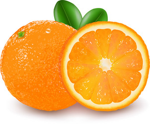 Orange Vector Images (over 950,000)