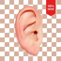 Ear Vector Images (over 170,000)
