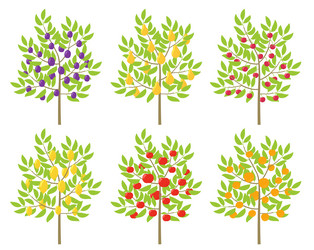 Fruit tree Royalty Free Vector Image - VectorStock