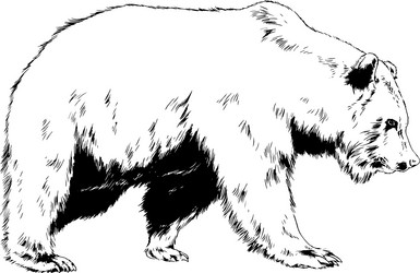 Military fighter jet drawn in ink by hand Vector Image