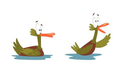 Funny green dabbling duck character as feathered Vector Image