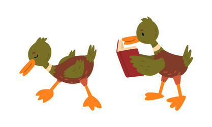 Duck Bill Vector Images (over 620)