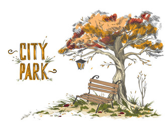 Bench Under Tree Vector Images (over 100)