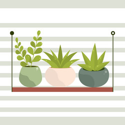 Plant Shelf Vector Images (over 6,500)