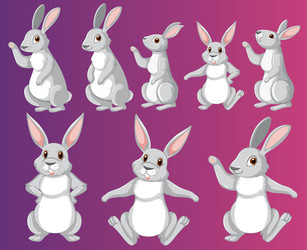 Cute rabbit in different pose cartoon character Vector Image