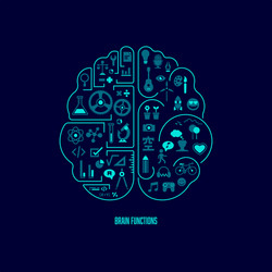 Human with left and right brain functions icon Vector Image