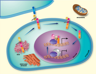 Cell Vector Images (over 390,000)