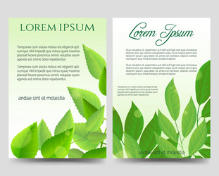 Website design template with green tree Royalty Free Vector