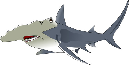 Hammerhead Vector Images (over 1,400)