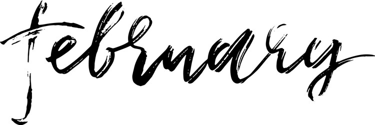 Hand drawn typography lettering february month Vector Image