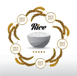 Rice Vector Images (over 84,000)
