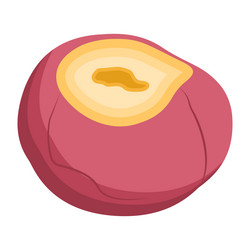 Kola Nut Vector Images (over 180)