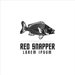 Red Snapper Vector Images (94)